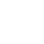 BitStone: Software Development Company - Premier Services